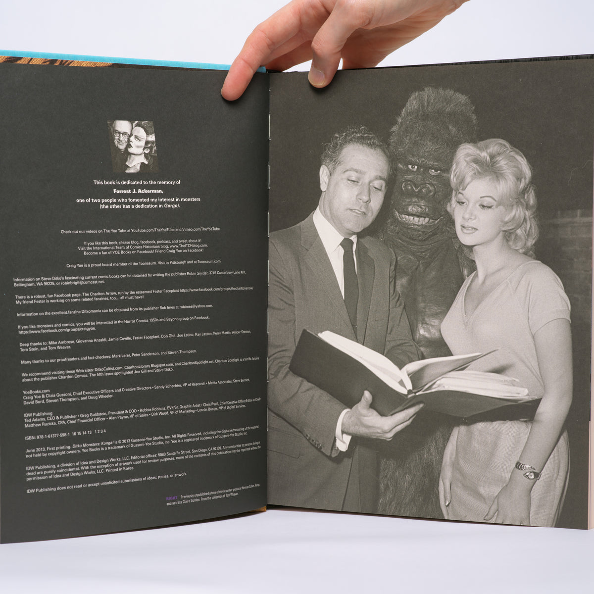 Gill, Joe - Ditko's Monsters: Konga! (Ditko Monsters) – City Lights ...